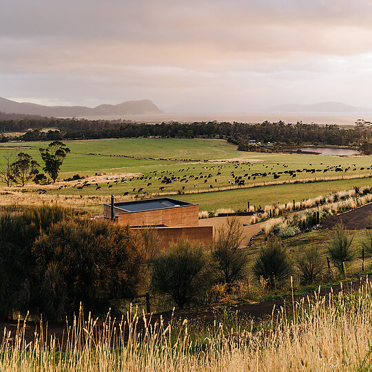 Van Bone by Laura Simone | Eat Drink Design Awards