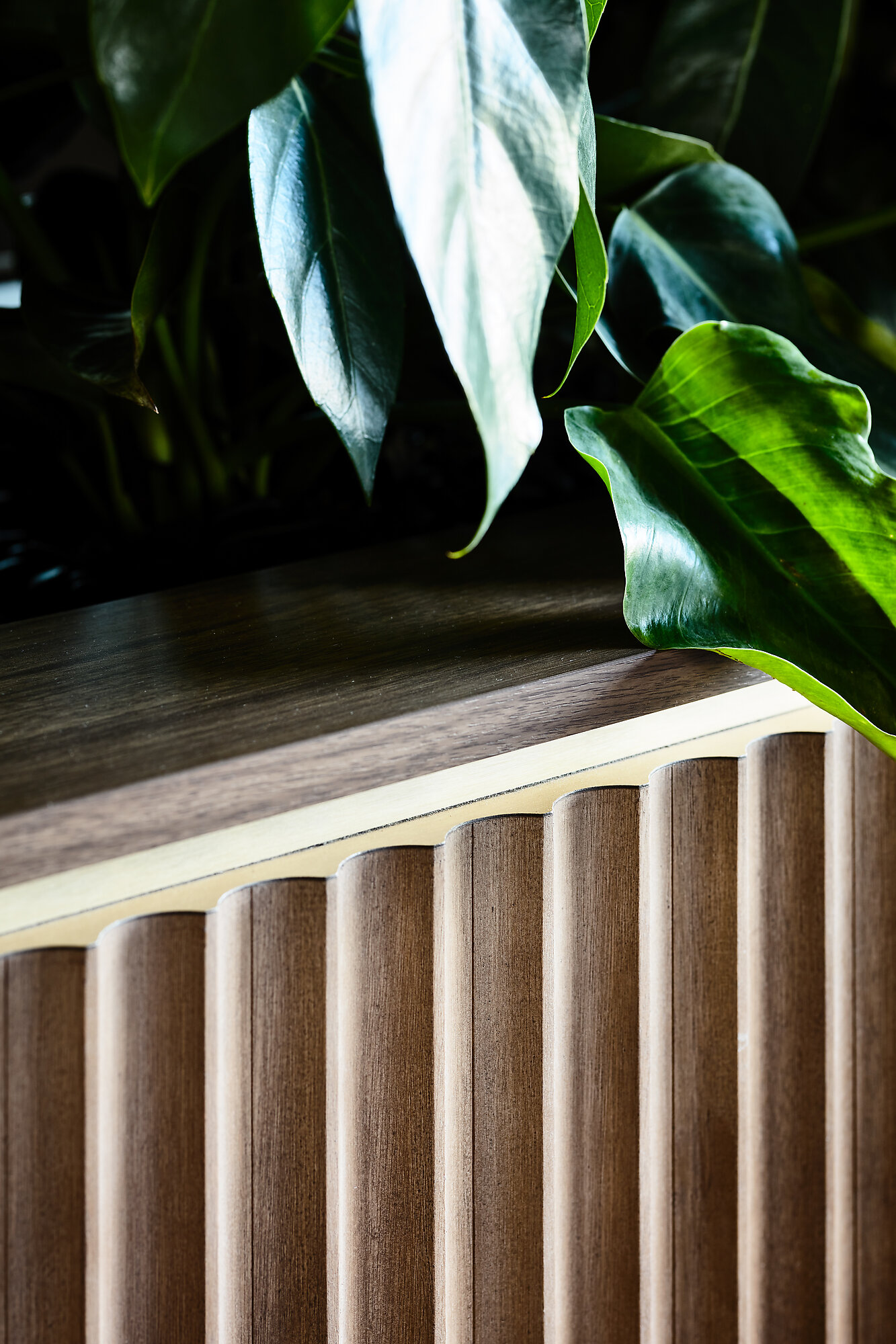 San Lorenzo by Peter Ryan Architects | Eat Drink Design Awards